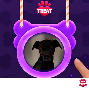 Treatva TreatApp | Liniad.com